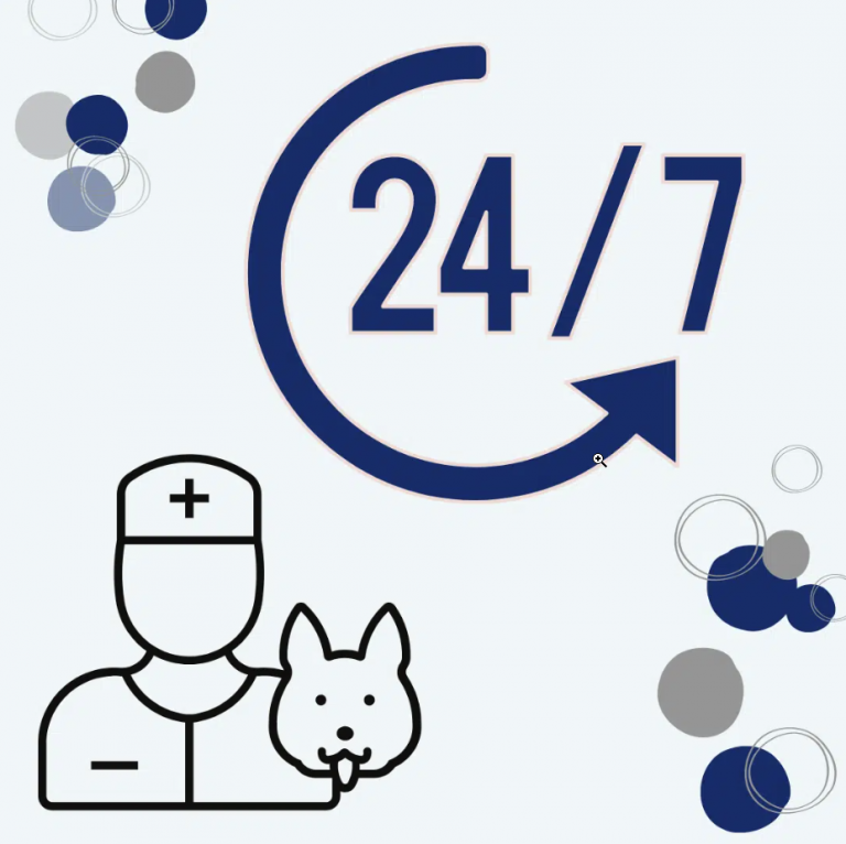 Emergency Vets | Local Vets